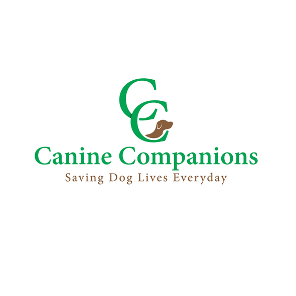 Grooming Tips Every New Dog Owner Needs to Know Right Now – Canine ...